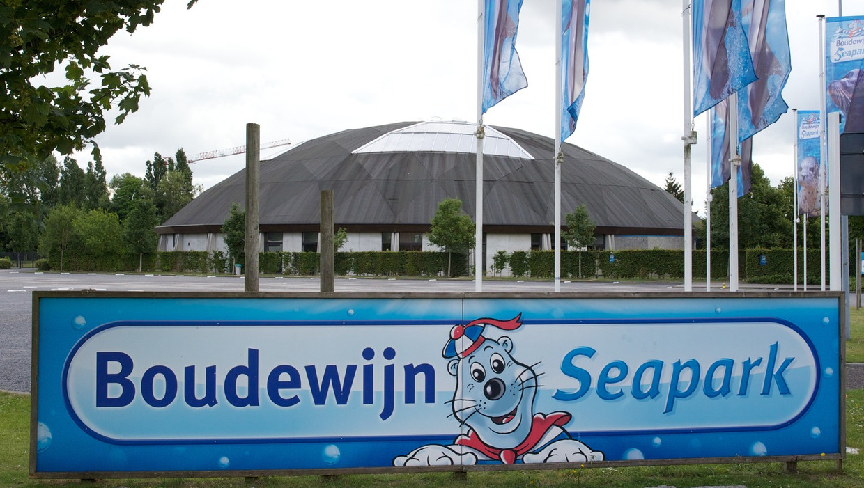 Boudewijn Seapark opent nieuwe waterattractie | De Morgen