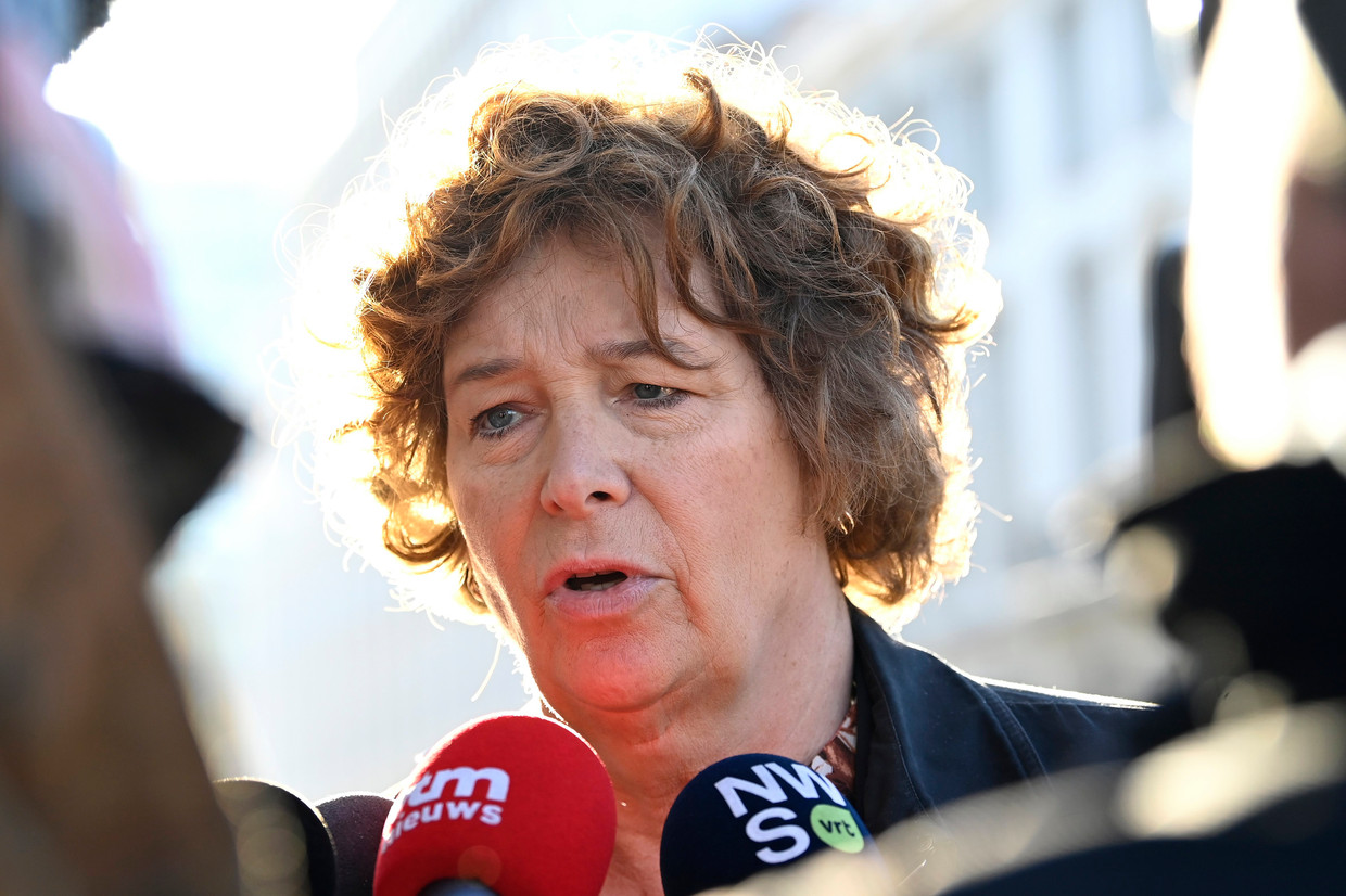 Minister De Sutter bevestigt mogelijke mistoestanden bij drie ...