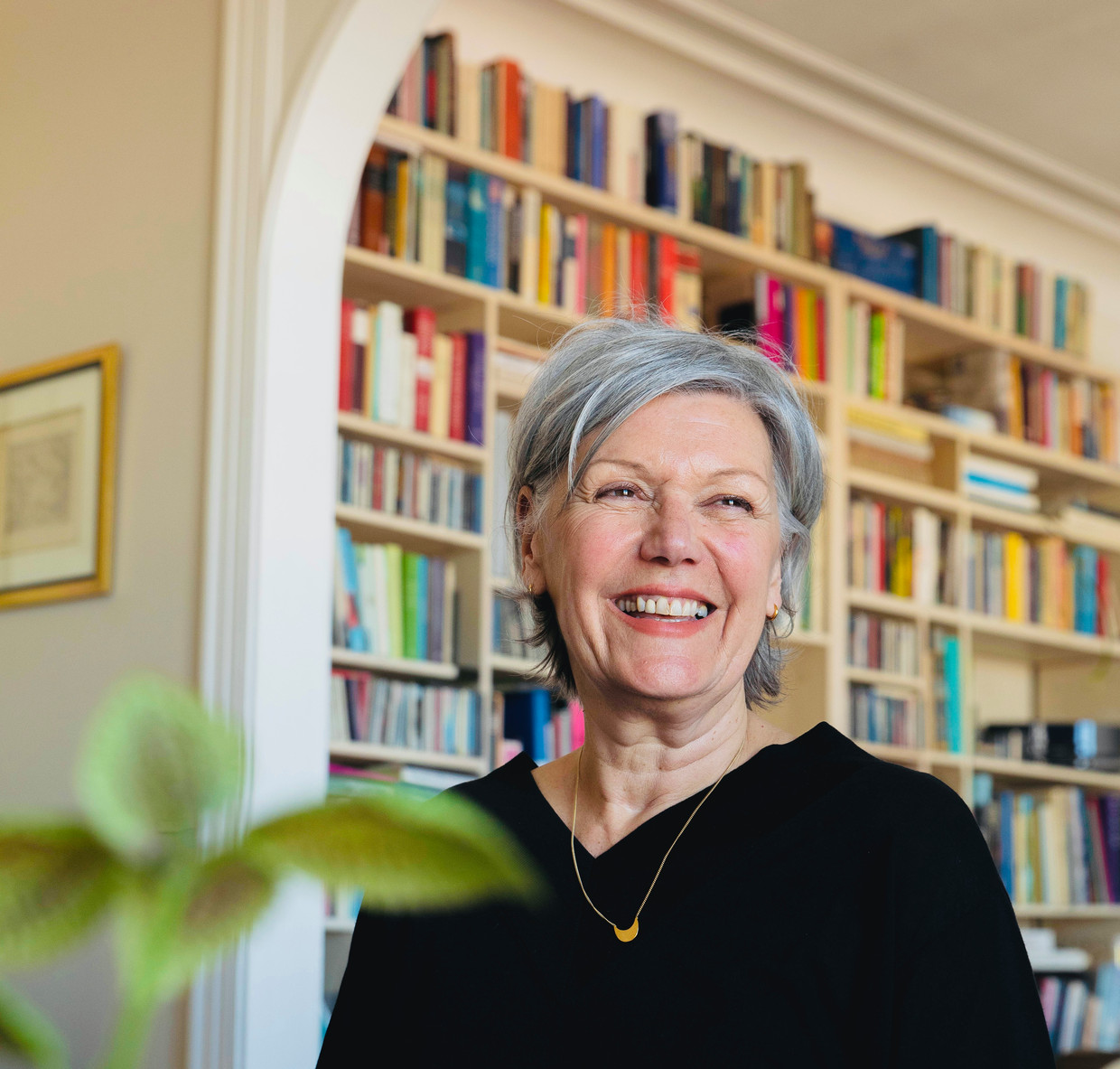 Drie boekentips voor u en uw vrienden | De Morgen