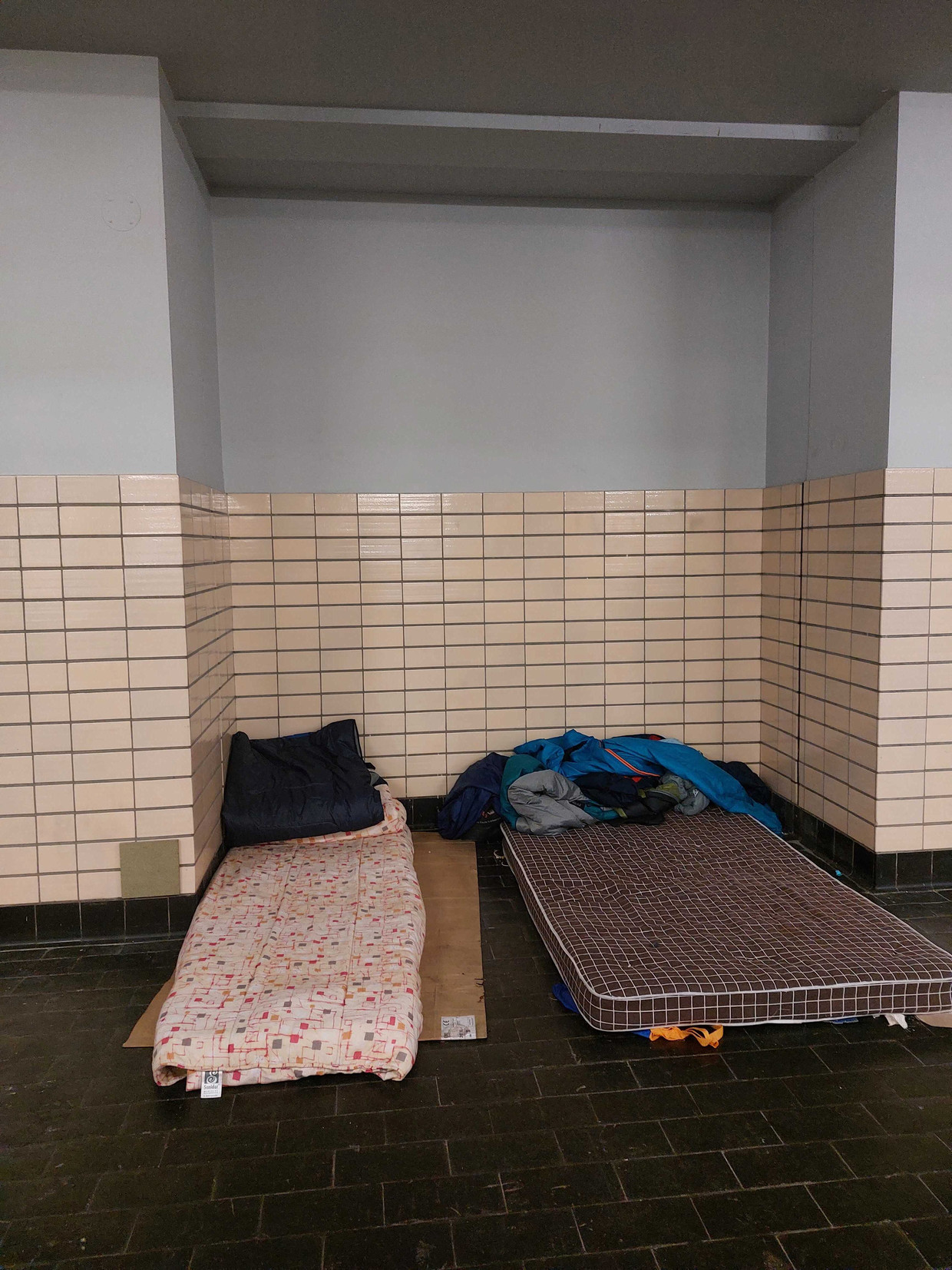 Voor de 700 asielzoekers die een pand kraken in Schaarbeek wordt de ...