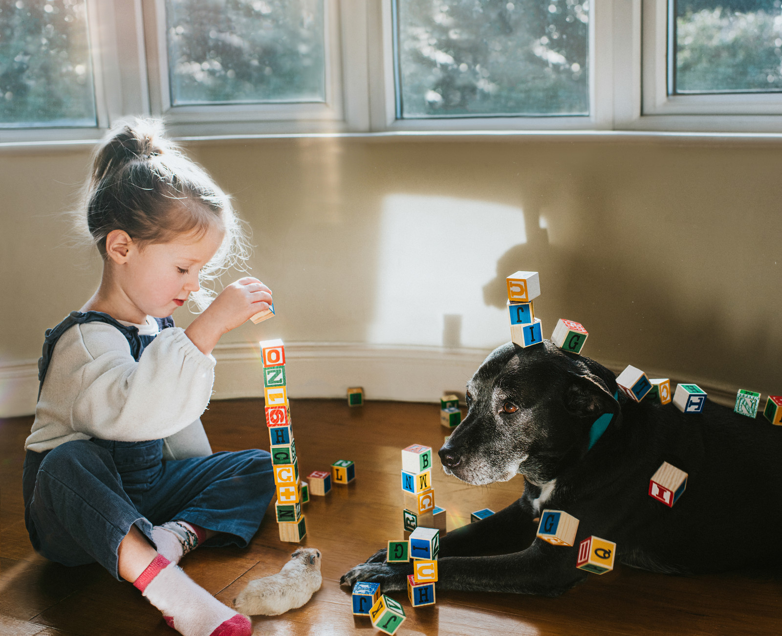 ‘We willen een hond nemen, maar ons oudste kind niet’: hoe pak je dat ...