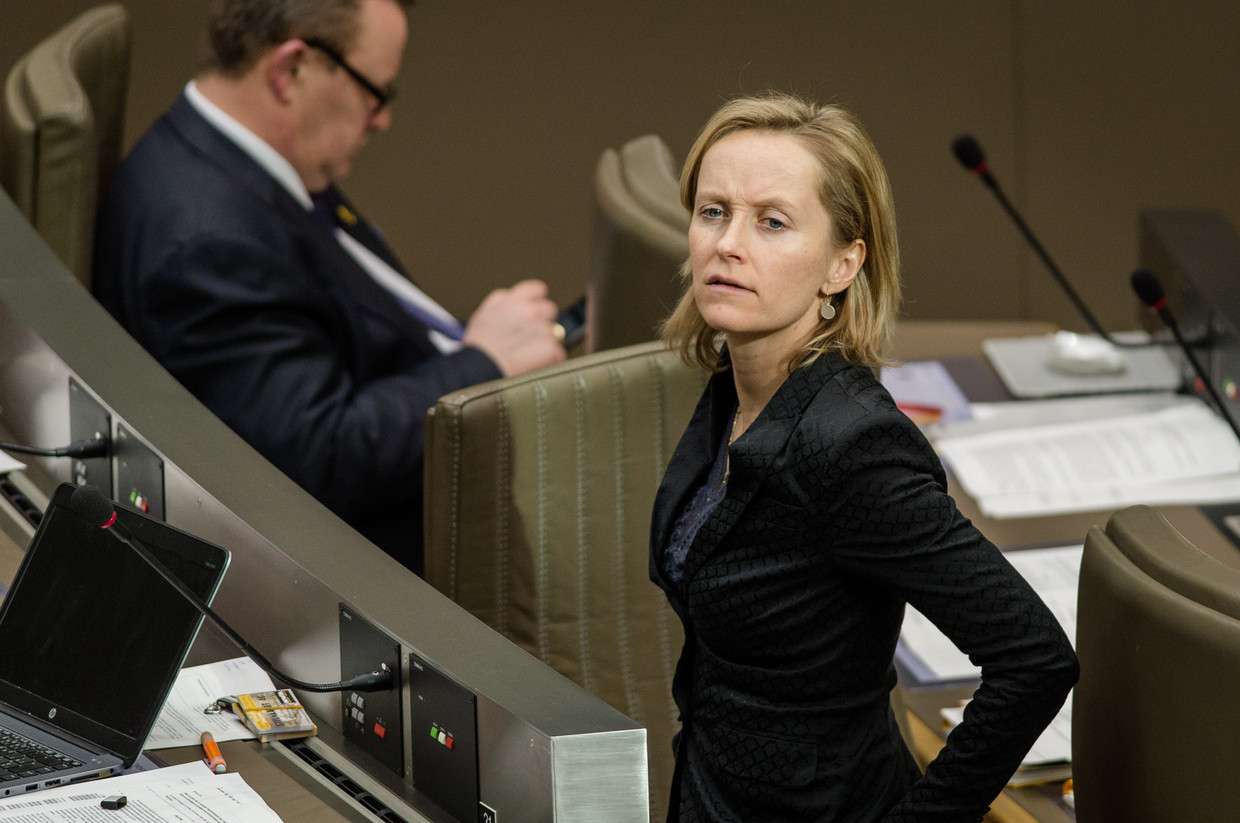 Wie wordt de Antwerpse kopvrouw: Homans of De Ridder? | De Morgen