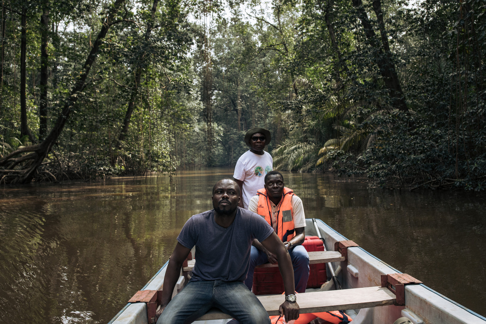 Niet het Amazonewoud, maar gigantisch veengebied in Congo is de groene ...