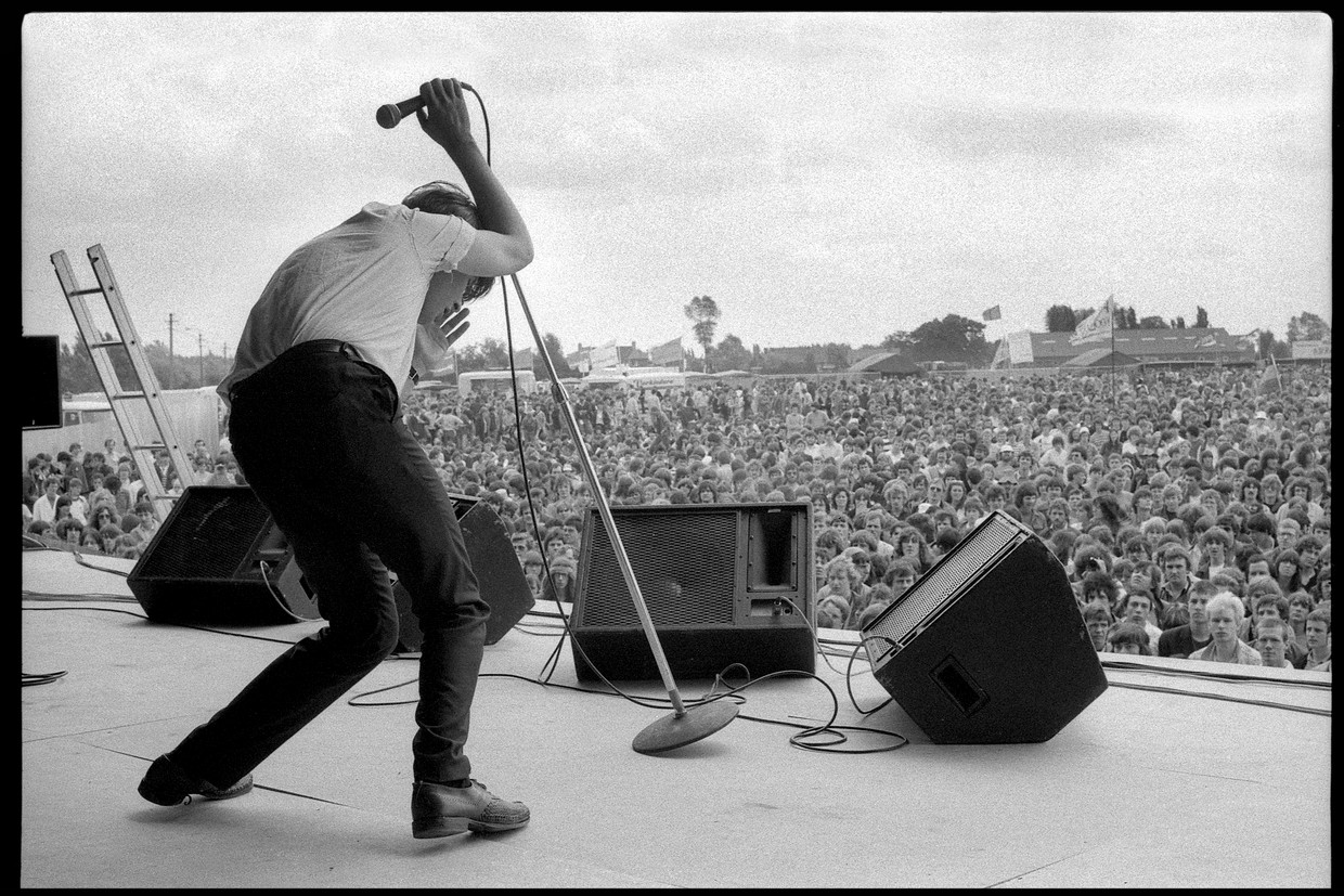 Fotograaf Danny Willems blikt terug op vijftig jaar vriendschap met ...