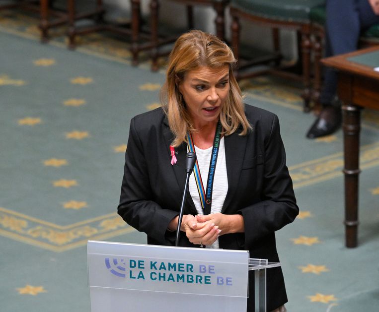 Ook Goedele Liekens komt volgend jaar niet meer op voor Open Vld