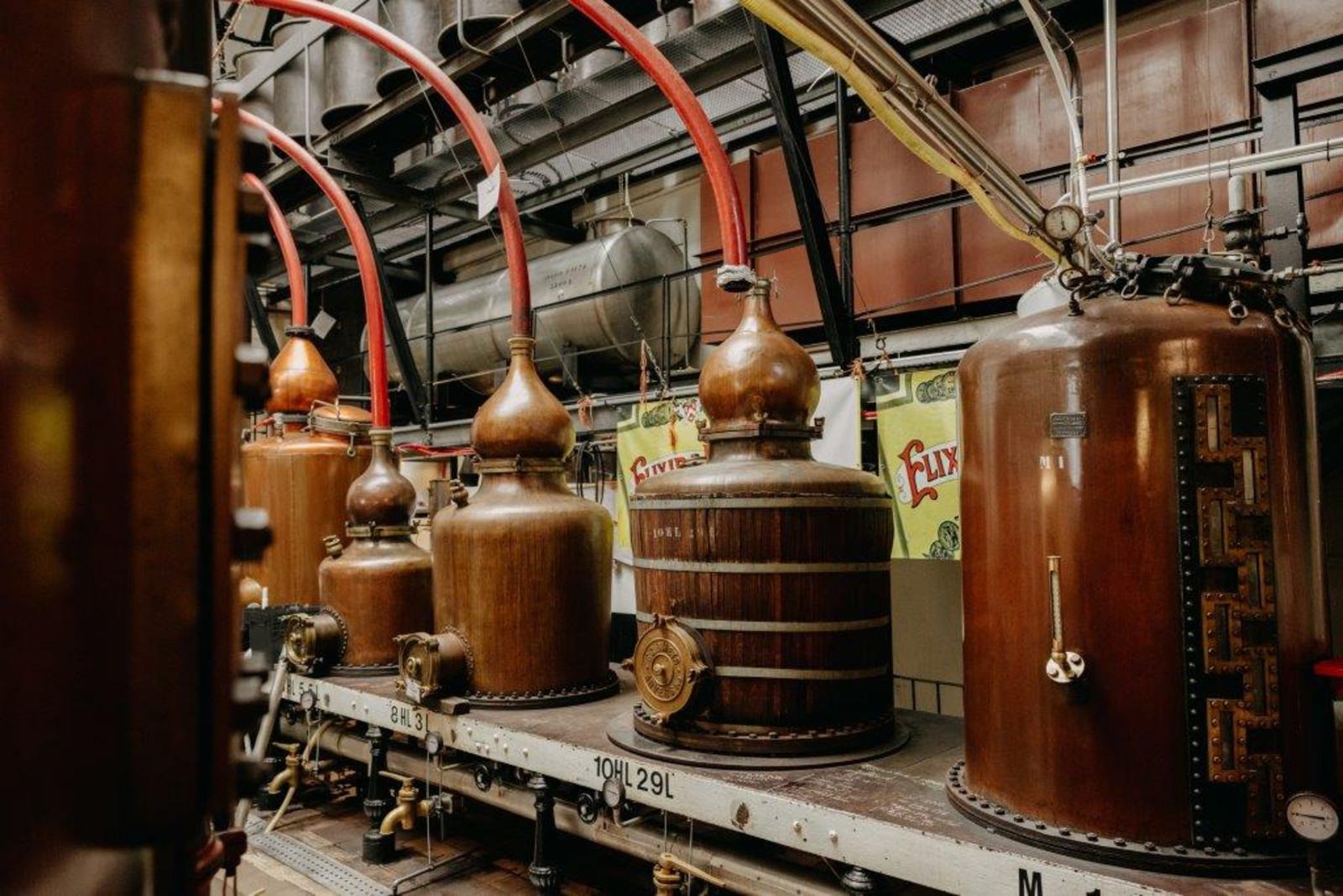 Op bezoek in de 160 jaar oude stokerij Elixir d’Anvers: ‘Alsof je bij ...