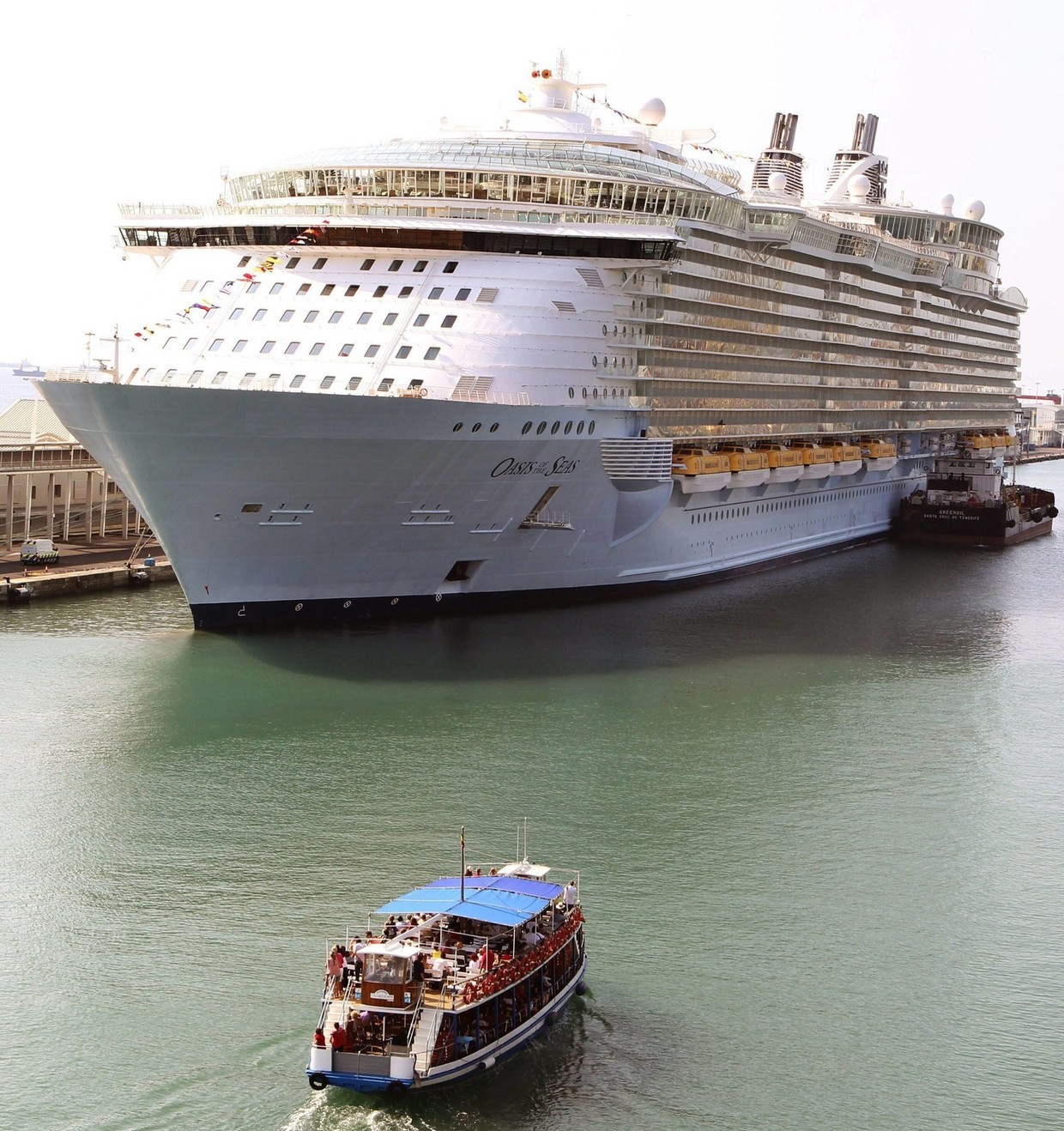 Grootste cruiseschip ter wereld meert aan in Rotterdam | De Morgen