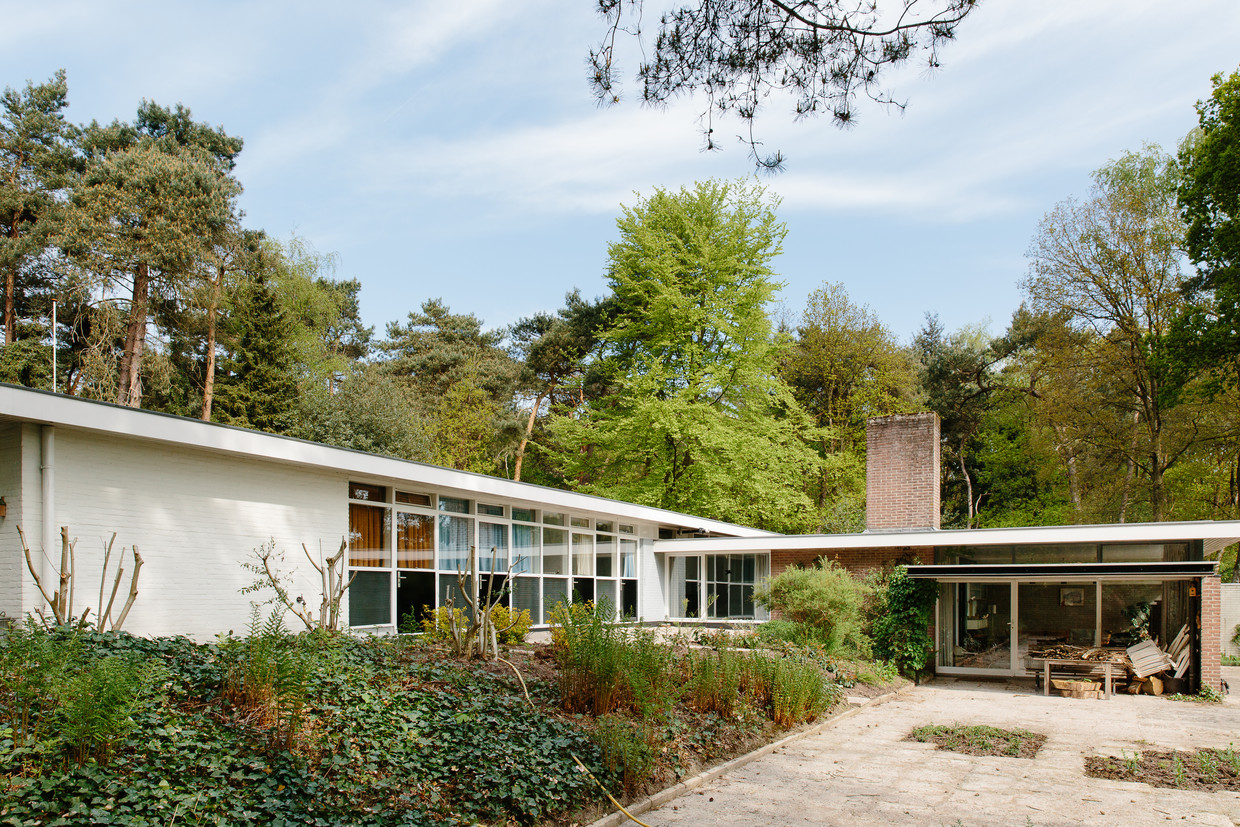 Het verborgen verhaal van het Nederlandse dorp Bergeijk, waar De Stijl ...