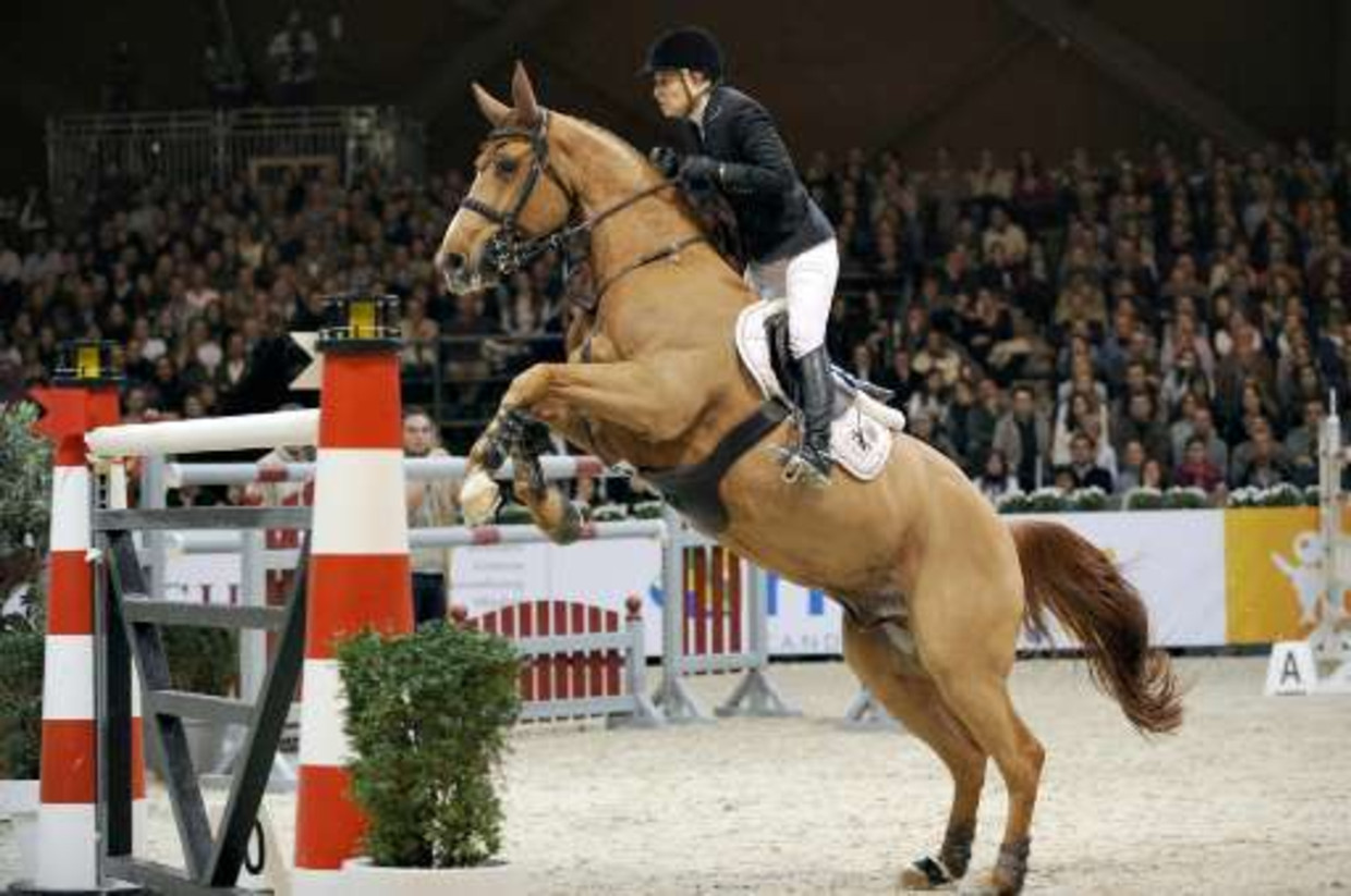 Edwina Alexander wint Grote Prijs jumping in Brussel | De Morgen