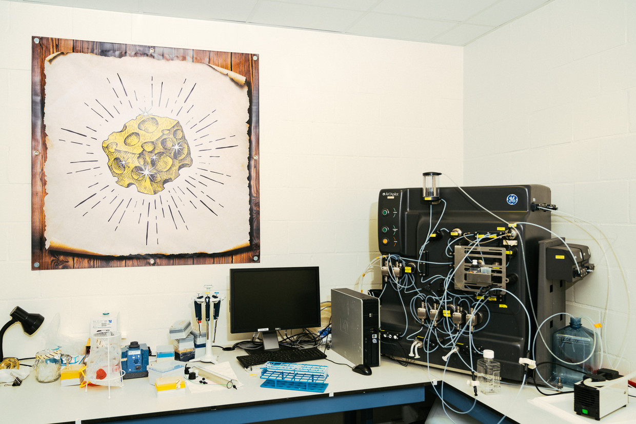 Labo in Gent moet droom van Nederlandse boer realiseren: melk maken ...