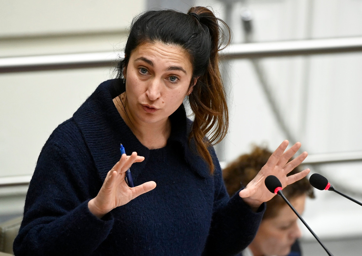 Ook Zuhal Demir gebruikte persoonlijk logo op overheidsproject: ‘Maar ...