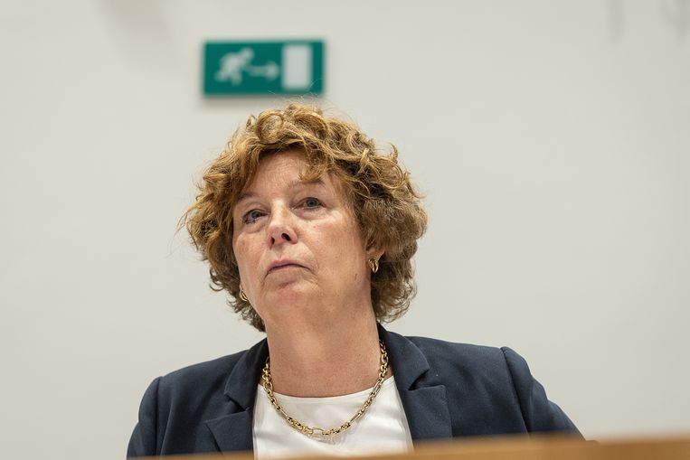 Petra De Sutter wil opvang voor alleenstaande mannen die asiel zoeken: ‘We moeten extra plaatsen ...