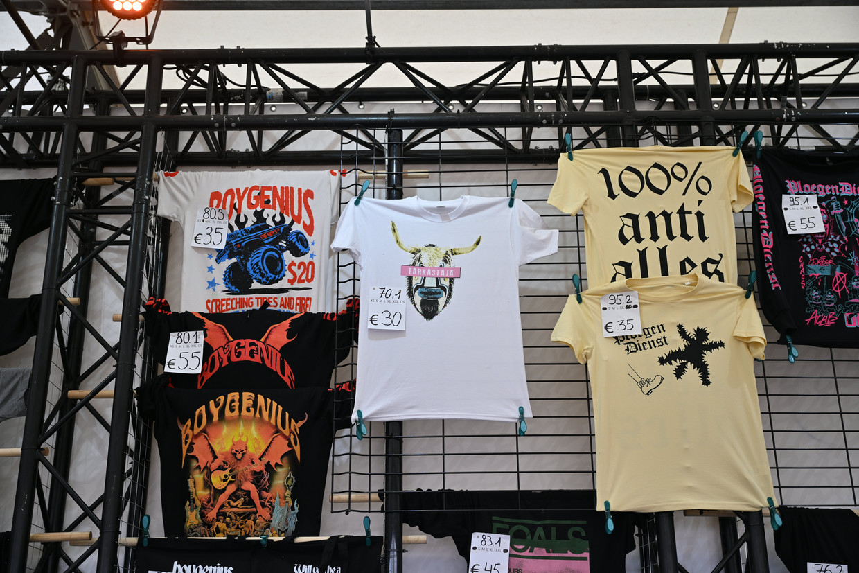 Pukkelpop-mysterie opgelost: Koen en Kris Wauters van Clouseau zitten ...