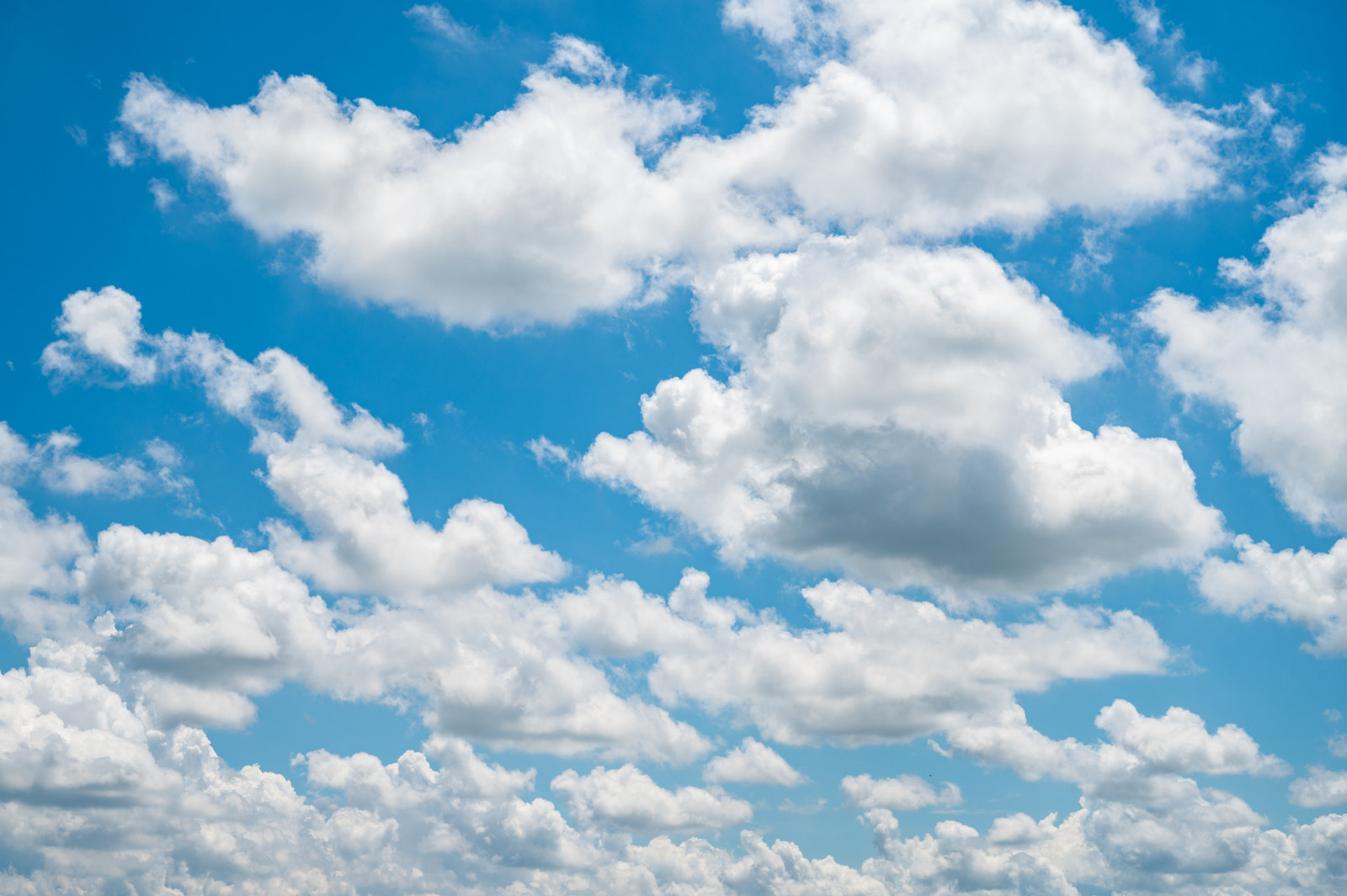 ‘We hebben nu twintig, dertig jaar snelle opwarming achter de rug, we ...