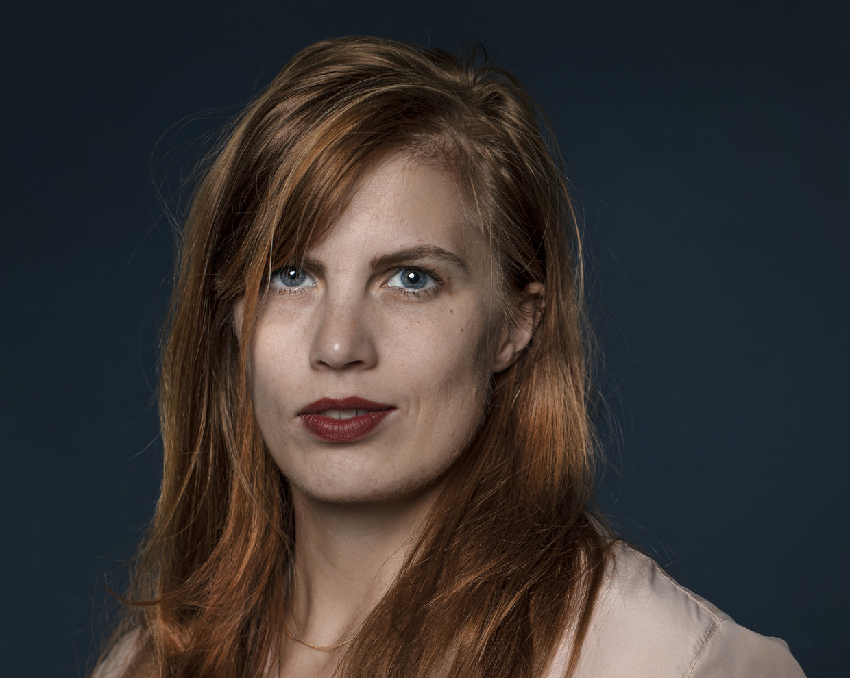 Het kan bijna niet anders of deze roman van Lydia Sandgren zal worden ...