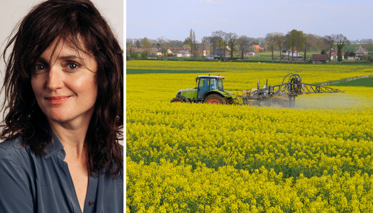 Soms zijn wetenschappers naïefweg verbaasd over wat de ‘buitenwereld ...