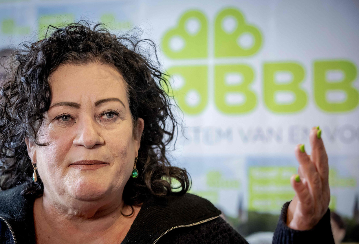 De Nederlandse verkiezingsuitslag is een afstraffing van het ...