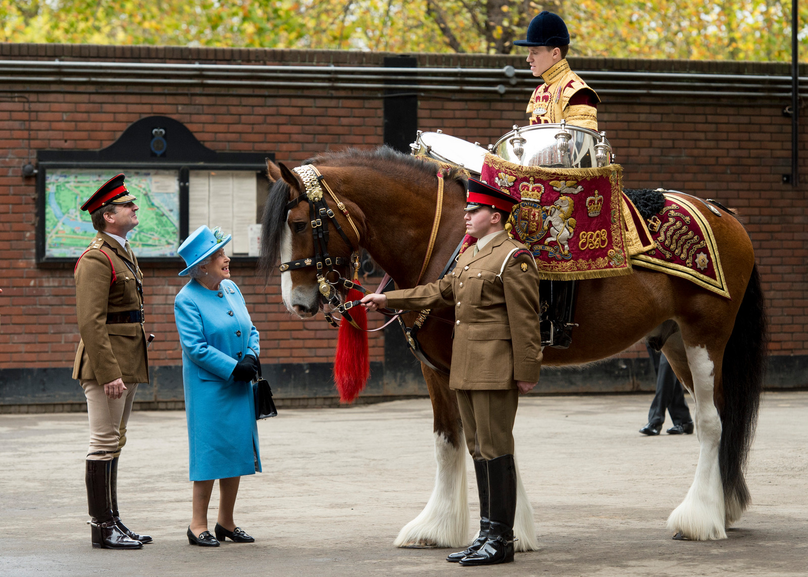 Van goede genen tot moppen tappen: dankzij deze 7 ingrediënten werd de ...