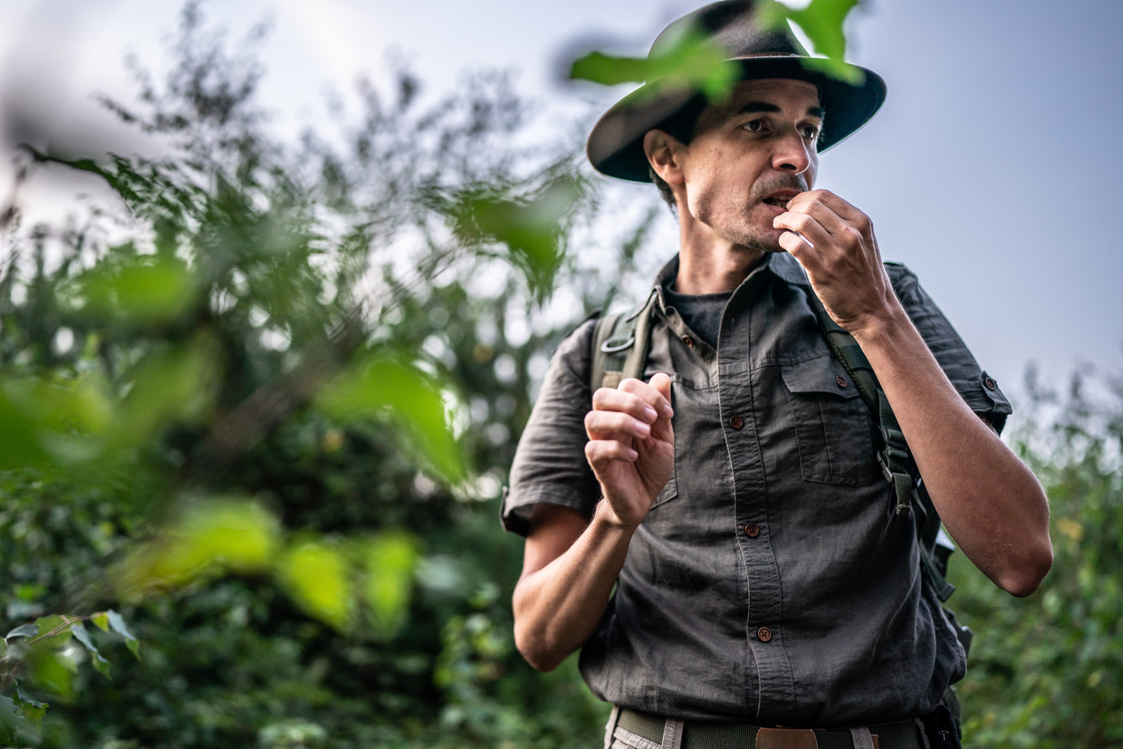 Zeven jaar leven met de dieren leerde Geoffroy Delorme mens te zijn: ‘Soms is de opbrengst van ...