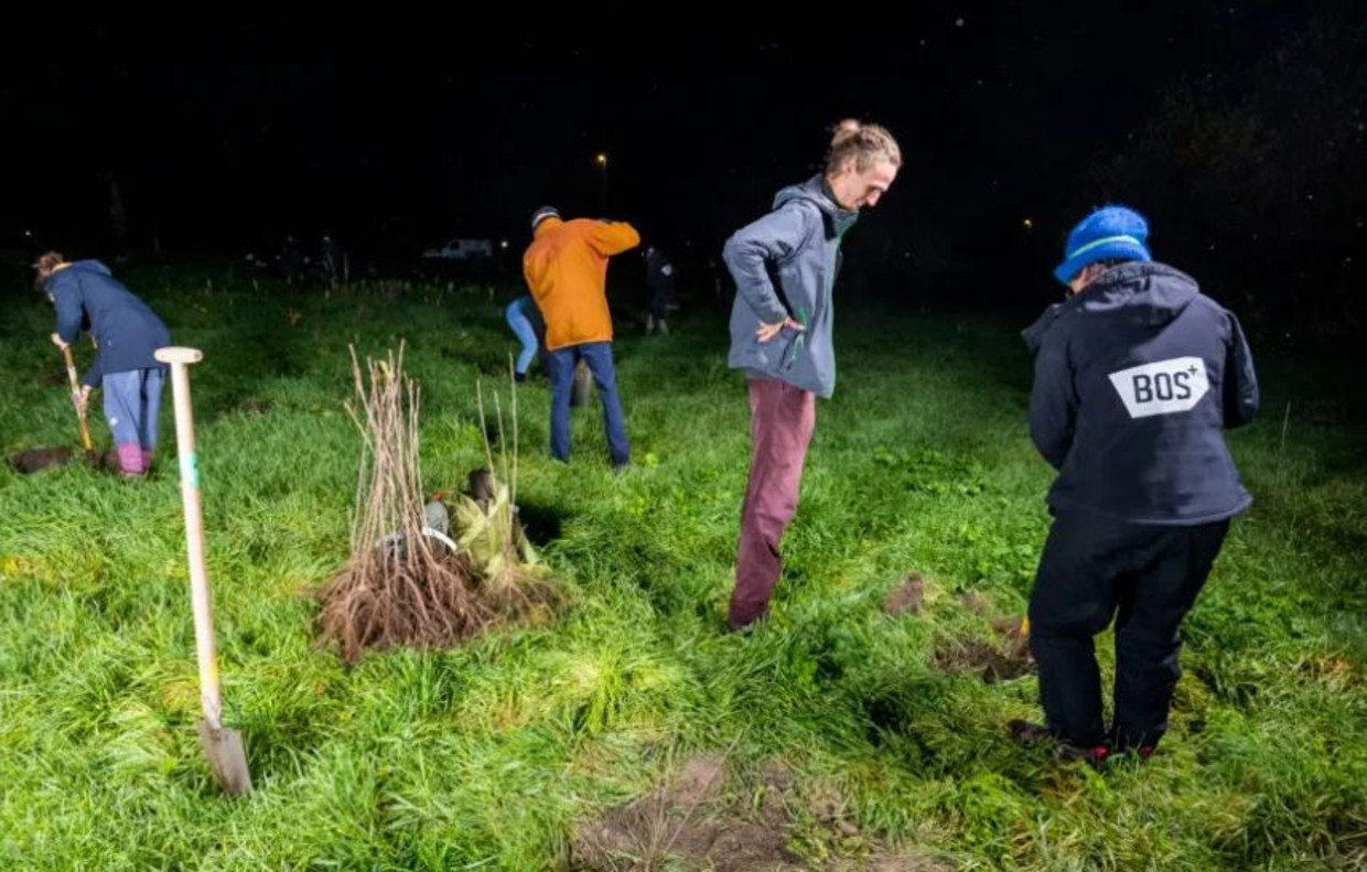 BOS+ plant illegaal bos op grond van Vlaamse Waterweg | De Morgen