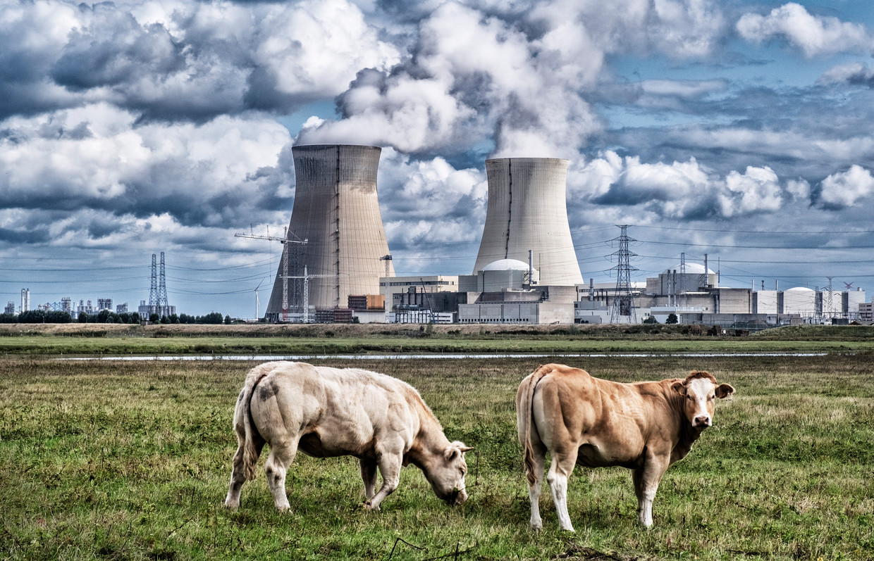 Laat kerstcadeau? Akkoord over verlenging kerncentrales Doel 4 en ...
