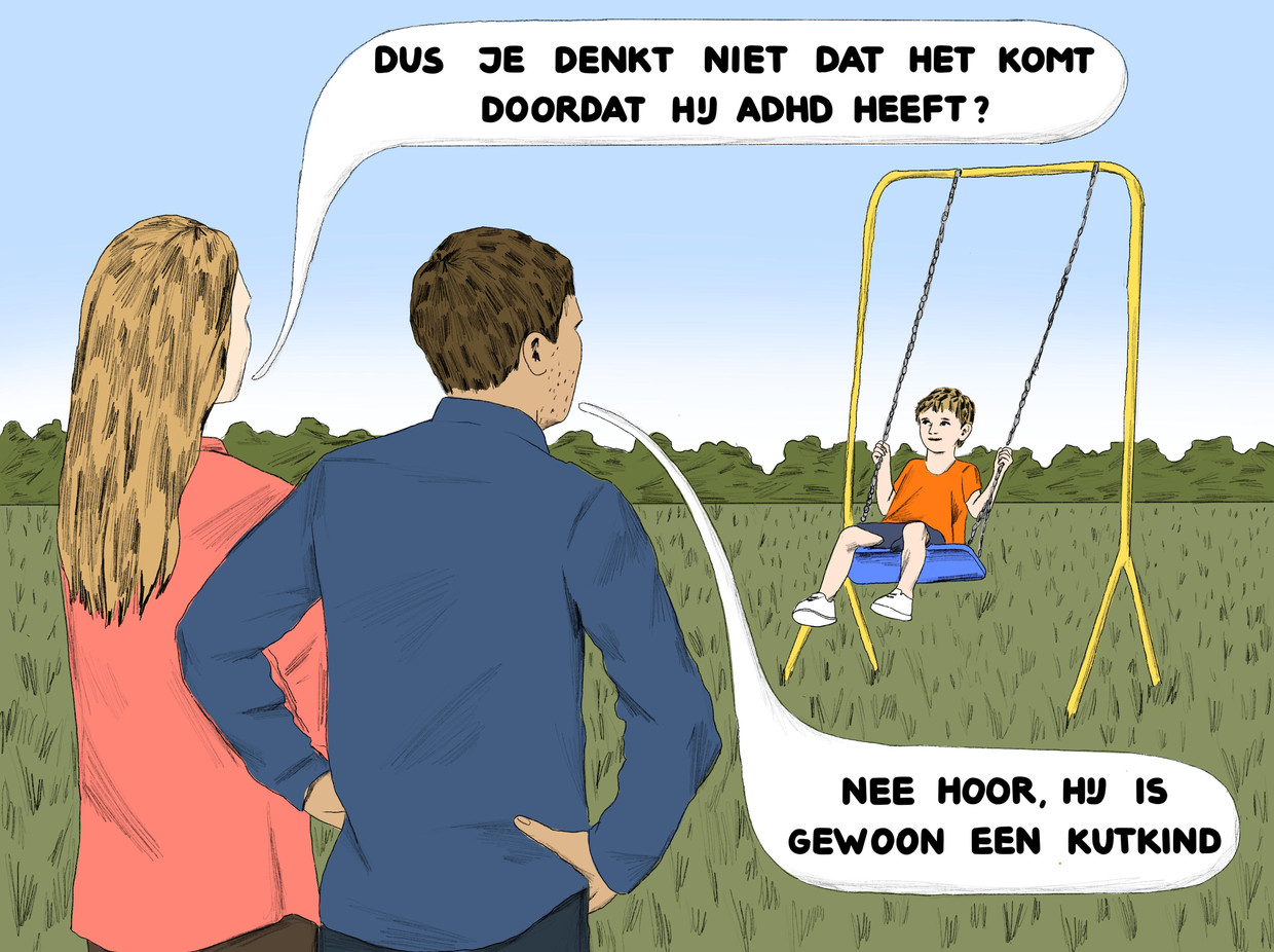 Jip van den Toorn | De Morgen