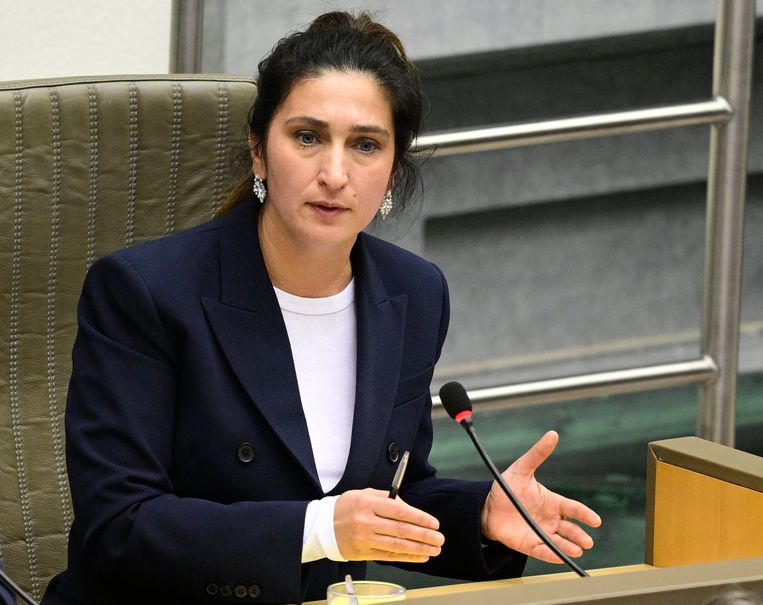Minister Zuhal Demir verliest beroep tegen capaciteitstarief