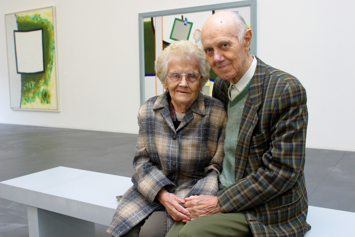 Schilder Roger Raveel (91) overleden | De Morgen