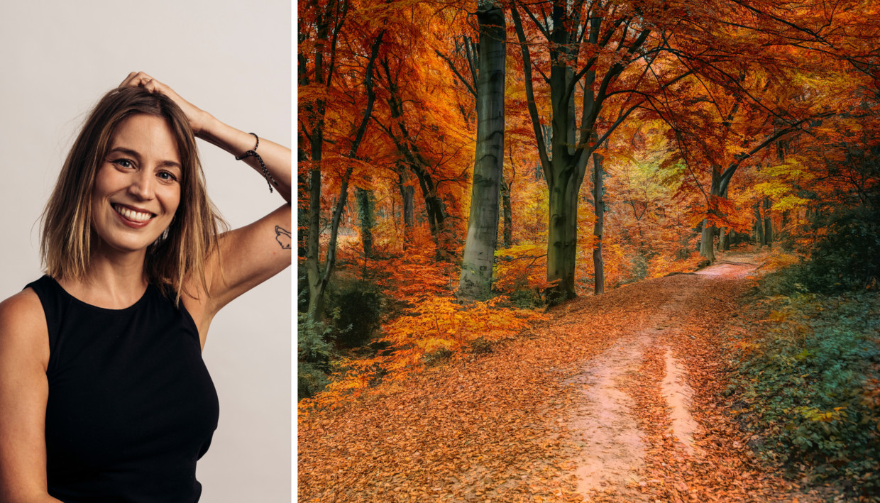 ‘Voor het zoveelste jaar op rij is de herfst van onder onze neus ...