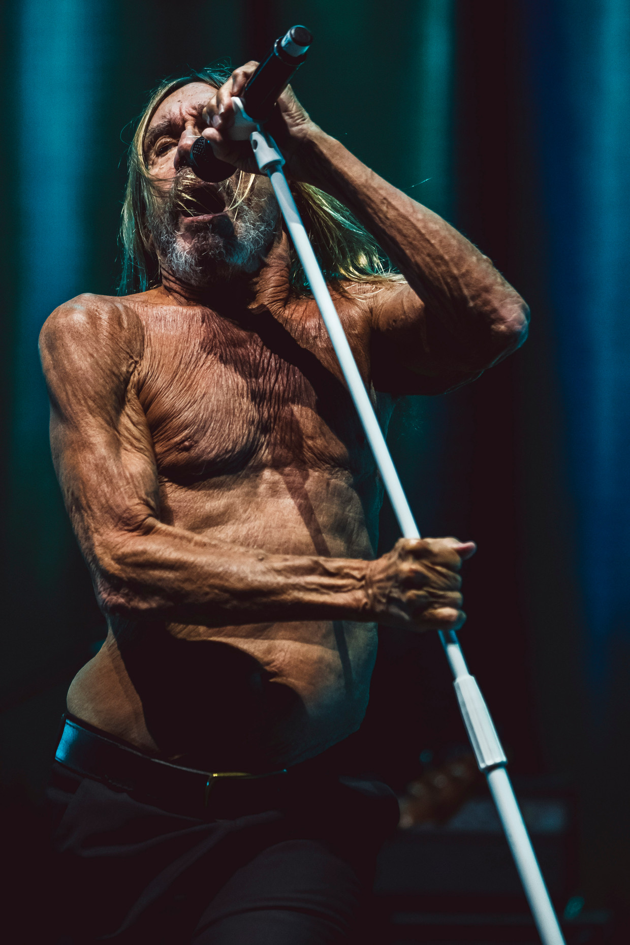 Een meesterlijke Iggy Pop combineerde doodsverachting met levenslust