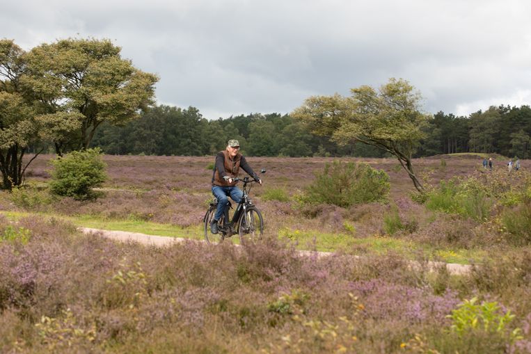 Meteorologische lente start met stevige wind en wisselvallig weer