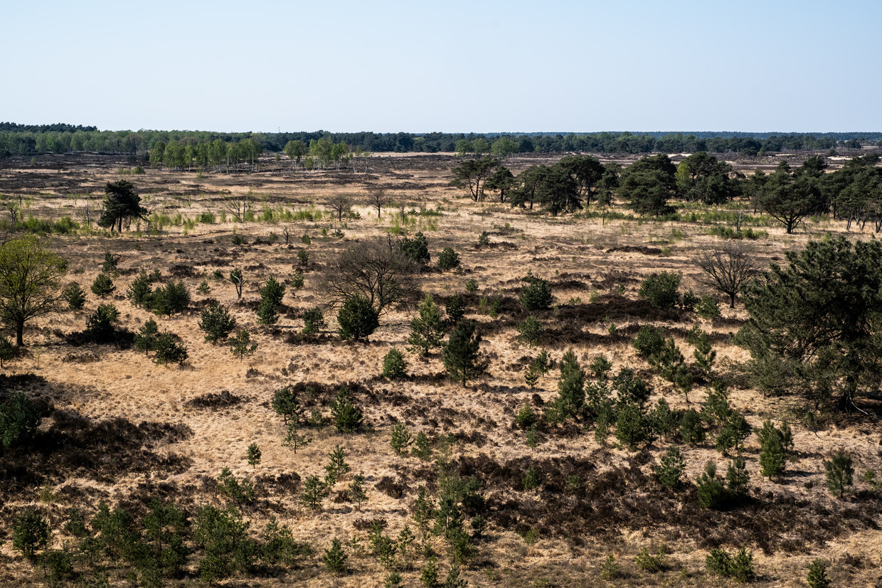 Wie mag bij extreme droogte water gebruiken en bij wie gaat de kraan dicht?