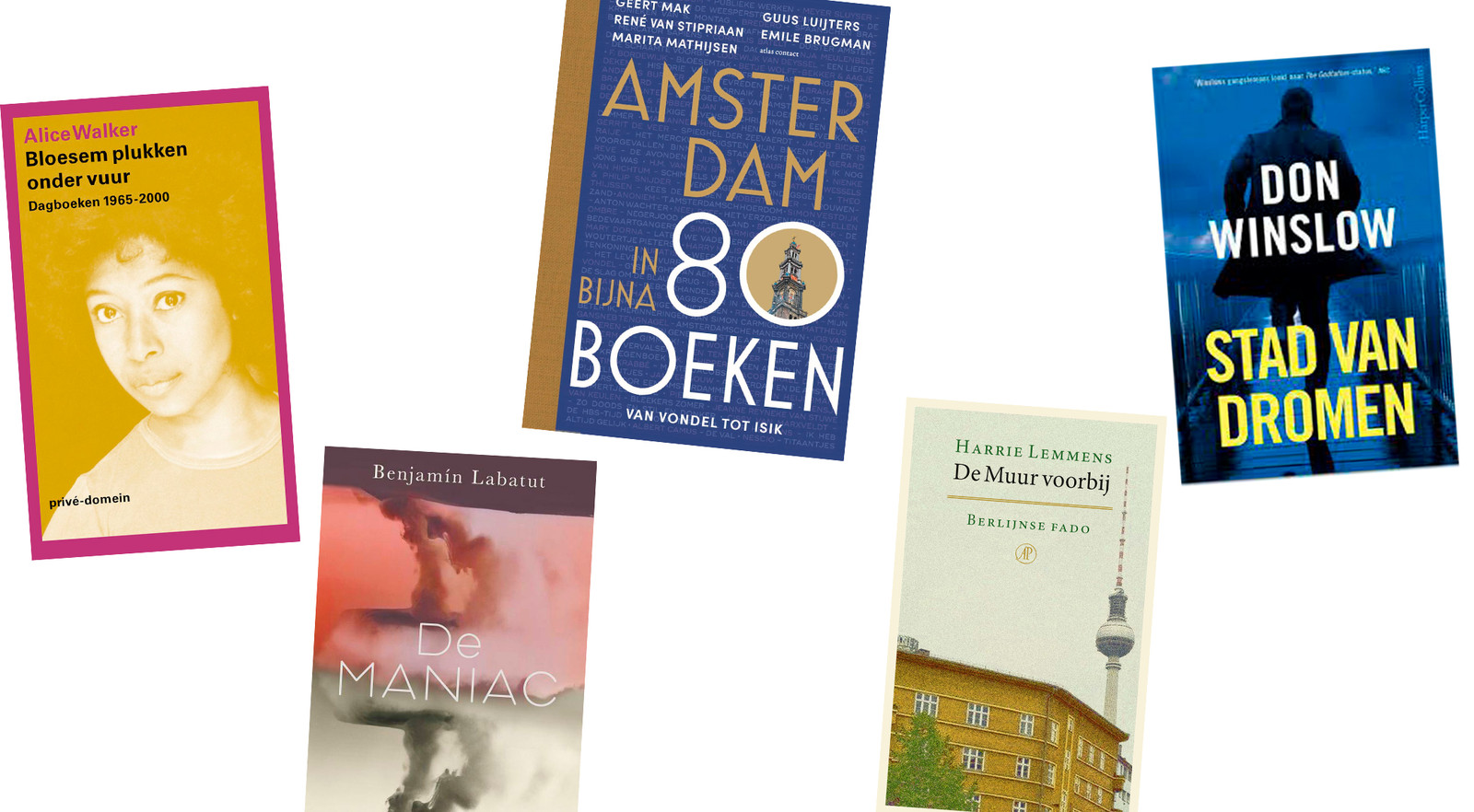 Vijf boeken om u ook na de zomer aan het lezen te houden | De Morgen