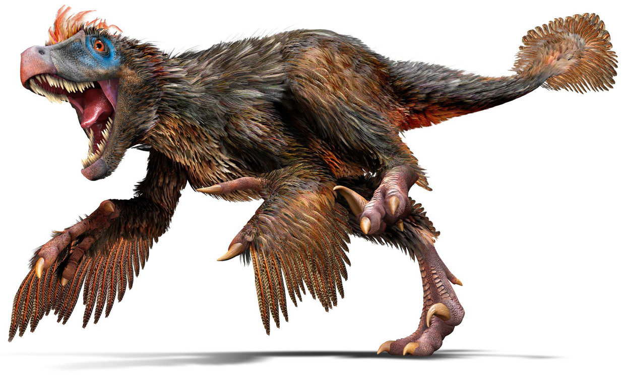 Het Jurassic Park-effect: er worden meer dinosauriërs dan ooit ontdekt