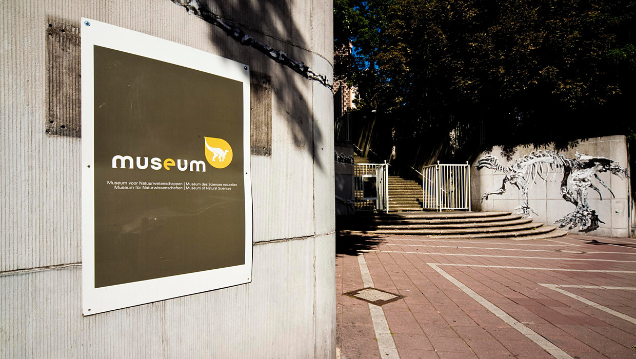 Natuurhistorisch museum in Brussel derde beste dinomuseum ter wereld