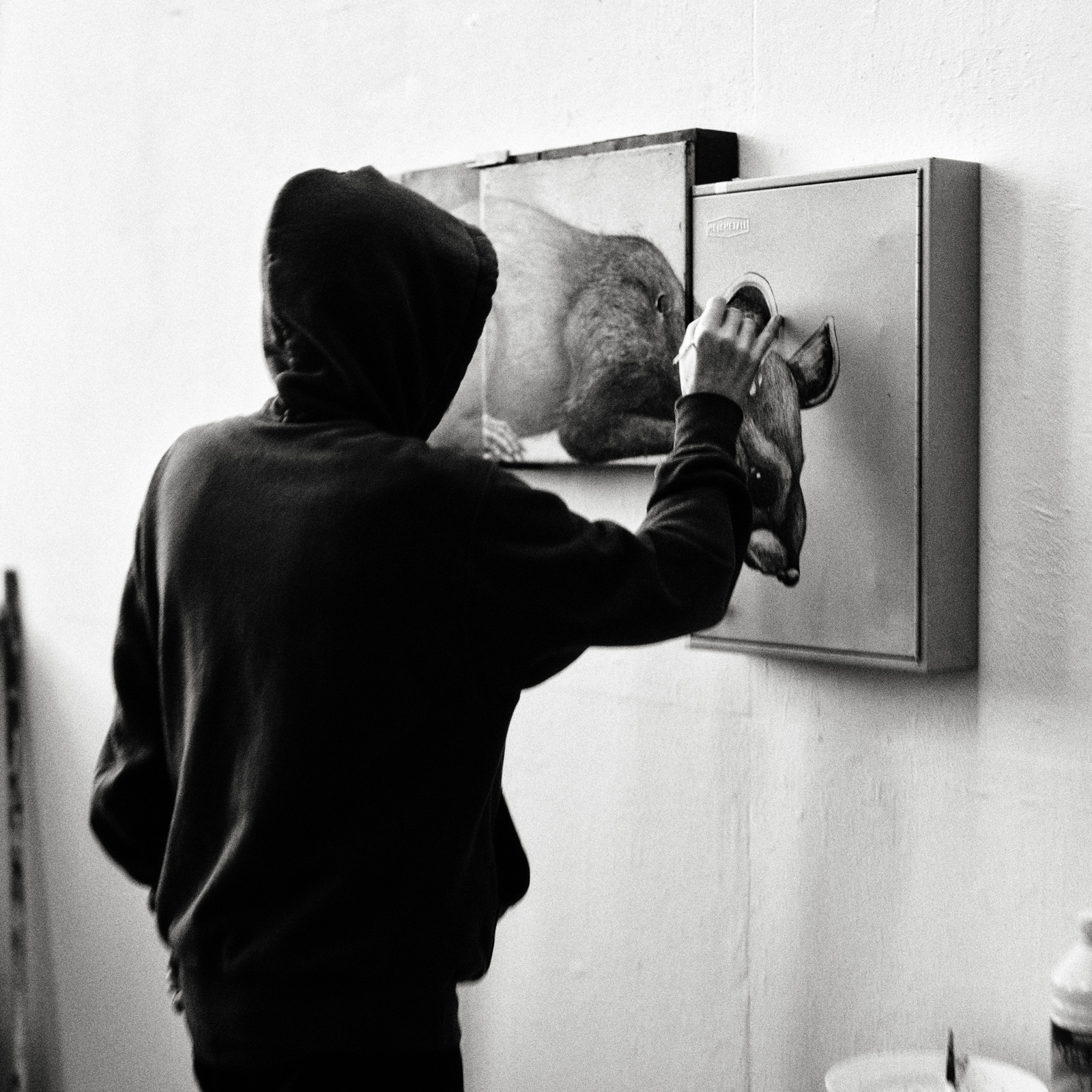 In het atelier van de mysterieuze street artist ROA: ‘Mensen geraken ...