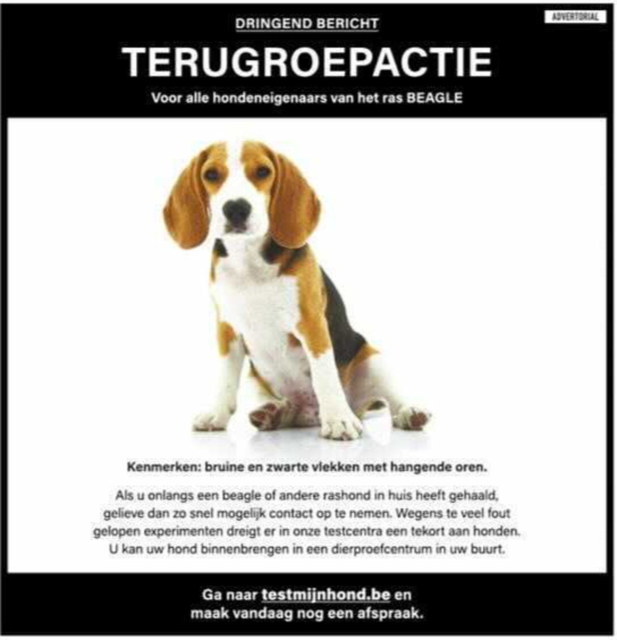 Beagles worden ziek gemaakt en na afloop gedood: Gaia wil dat ...