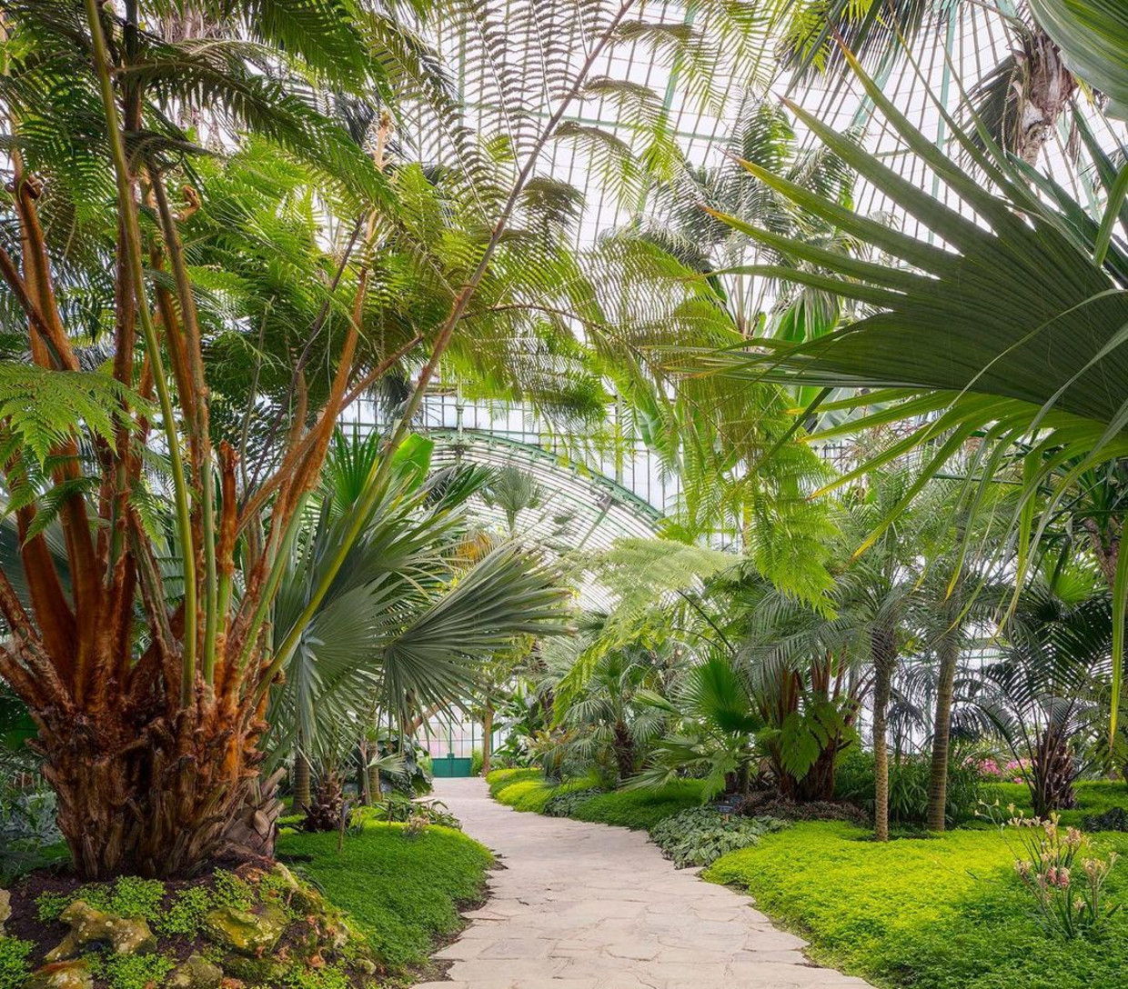 Koninklijke serres opnieuw toegankelijk voor publiek tot 7 mei