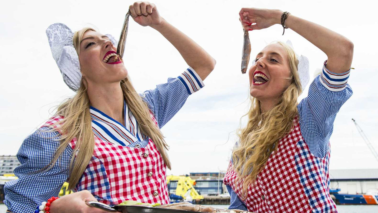 Eerste nieuwe maatjes in Oostende aan land gebracht | De Morgen