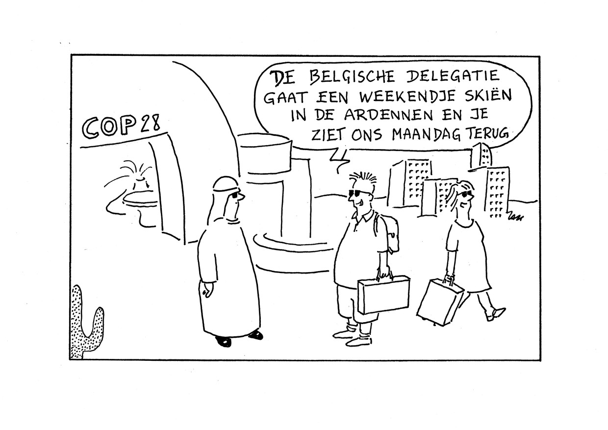 Zak-cartoon van de dag | De Morgen