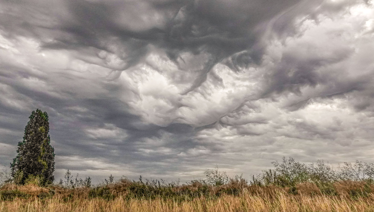 Onweer veroorzaakt weinig schade, vanavond nog kans op lokale onweersbui