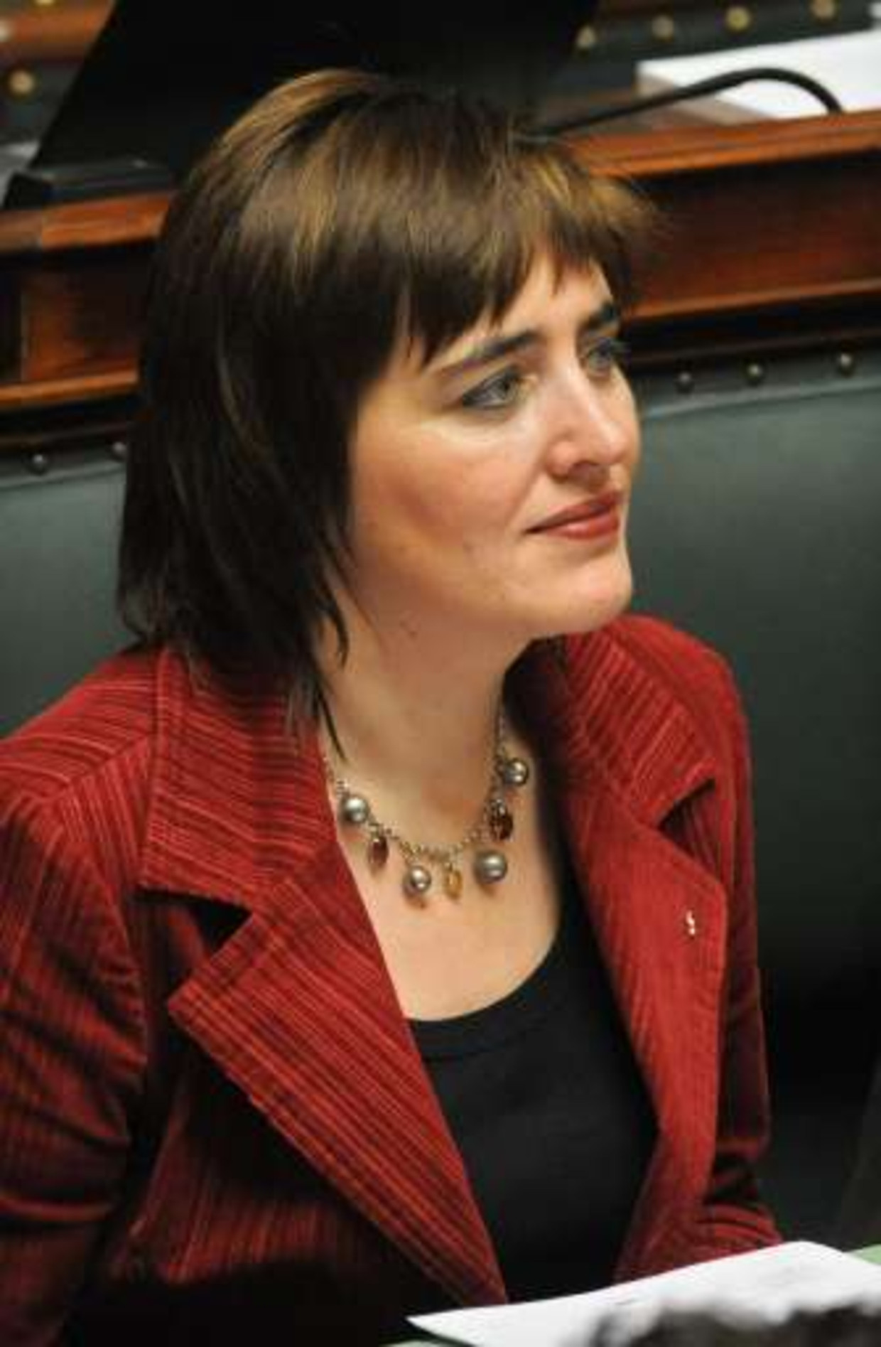 Ingrid Claes volgt Carl Devlies op in de Kamer | De Morgen