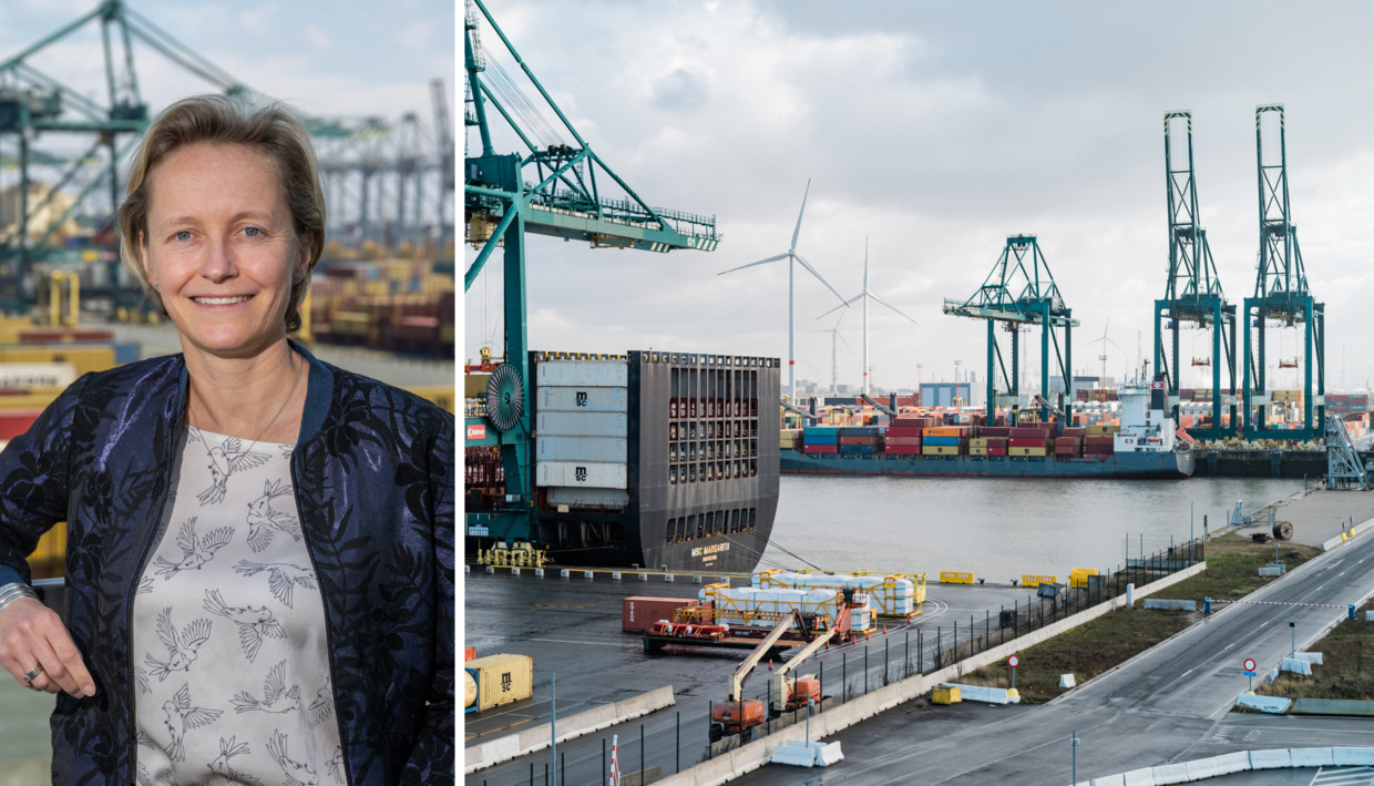 Waarom we het best de rode loper uitrollen voor duurzame industriële investeringen