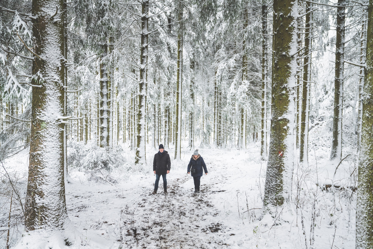 Veel wind en neerslag vandaag, tot 20 cm sneeuw in de Ardennen