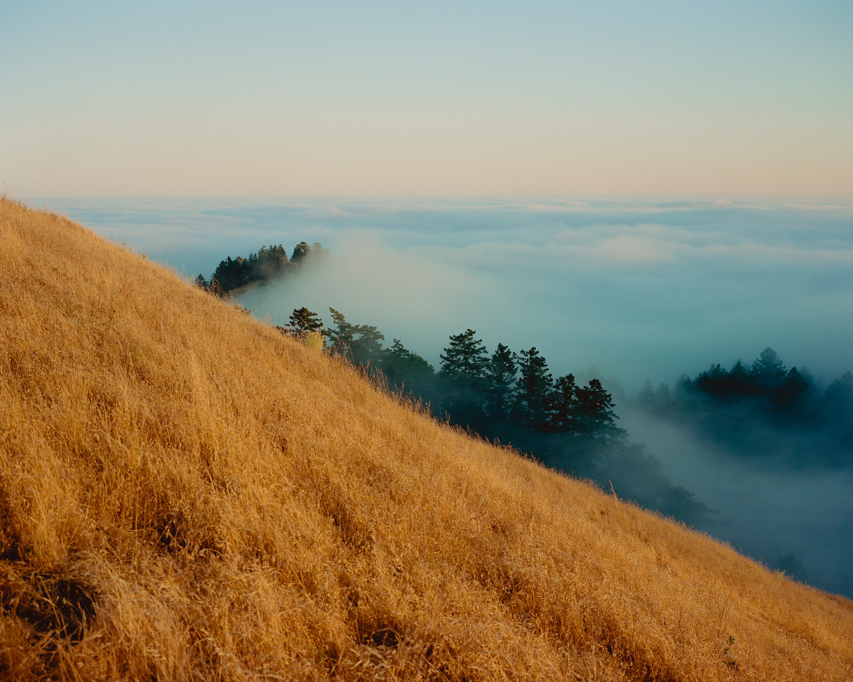 Willem Verbeeck brengt eerste fotoboek uit: ‘Ik ben geïnteresseerd in ...