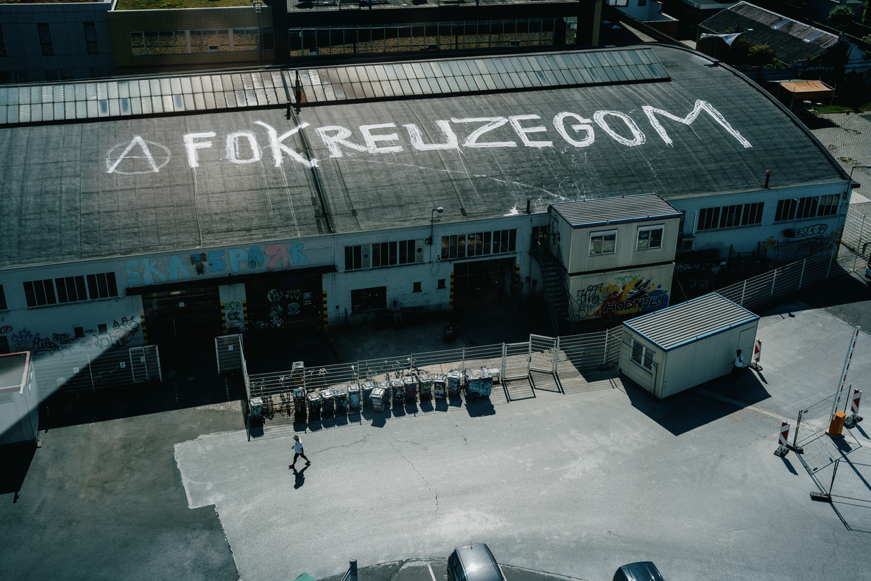Onbekenden plaatsen onverbloemde boodschap voor Reuzegom in de buurt ...