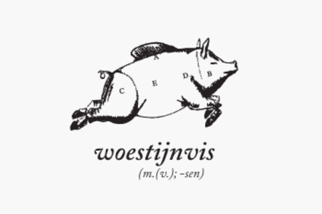 Woestijnvis zwemt ook opnieuw bij Eén | De Morgen