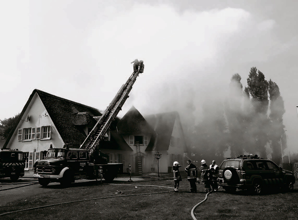 De drukste tram van Vlaanderen is niet meer: deze 5 topverhalen mag u ...