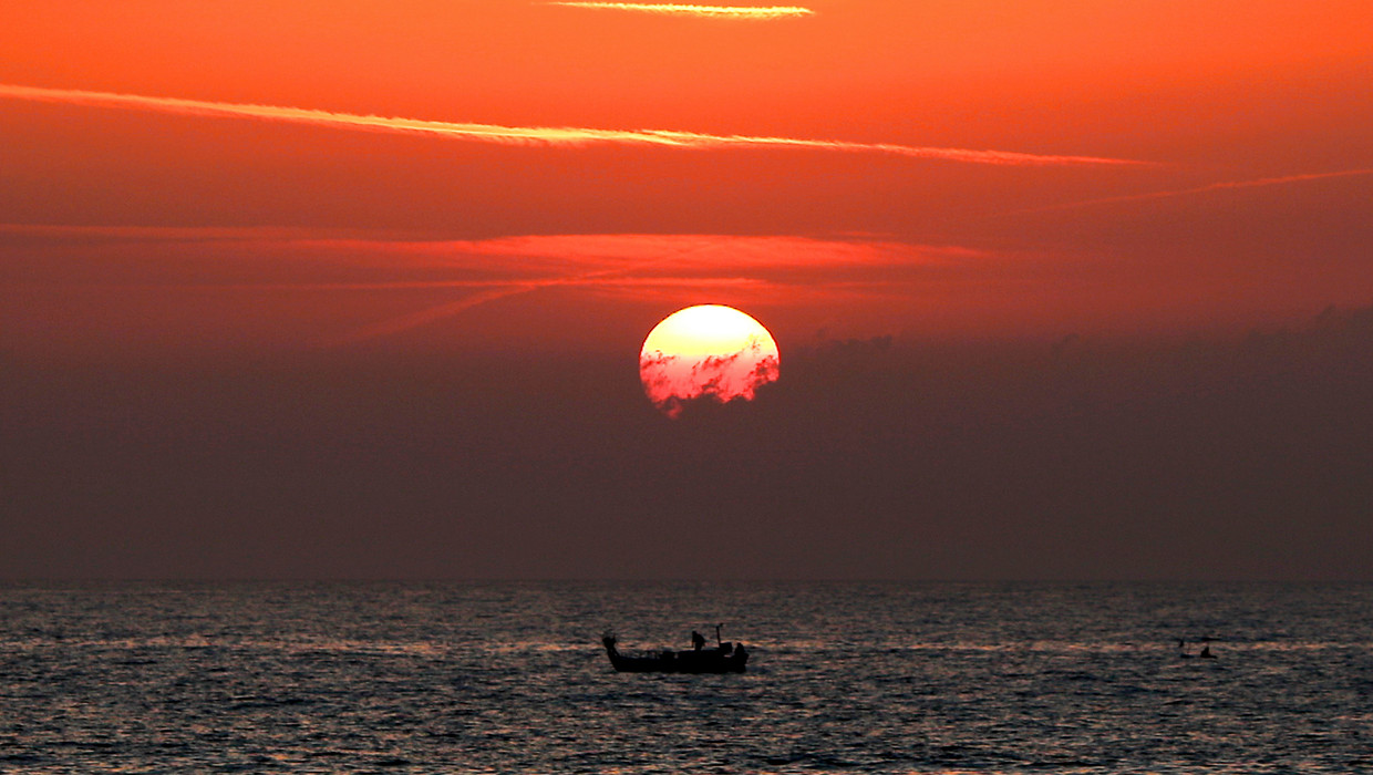Helft van haaien en roggen in Middellandse Zee met uitsterven bedreigd