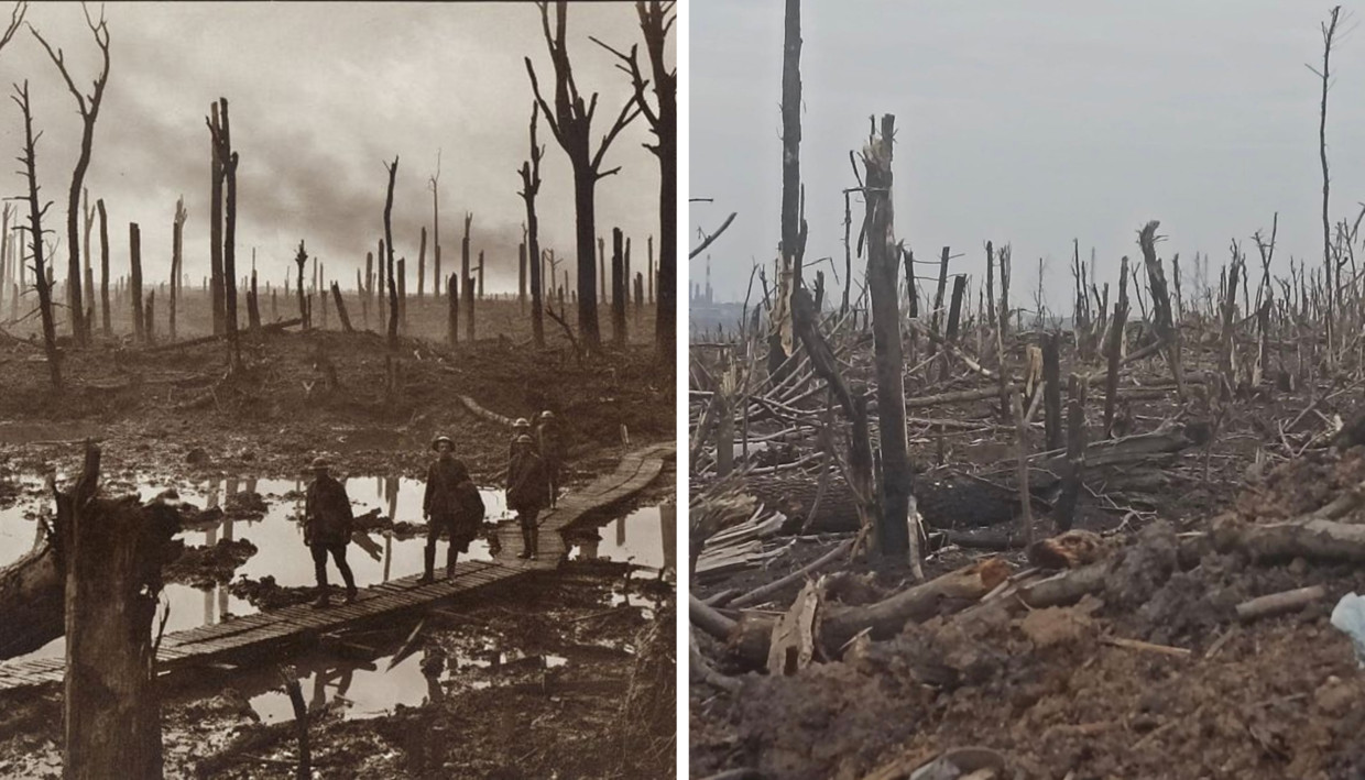 1917 of 2022? Frontbeelden tonen verschrikkelijke omstandigheden in de ...